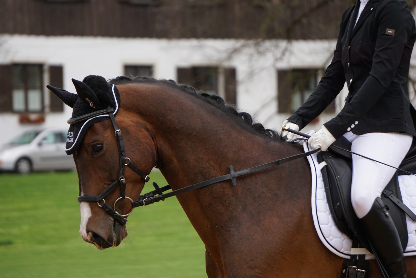 Micklem Trensenzaum - Test, Berichte, Fotos - Bumblebee & Ina